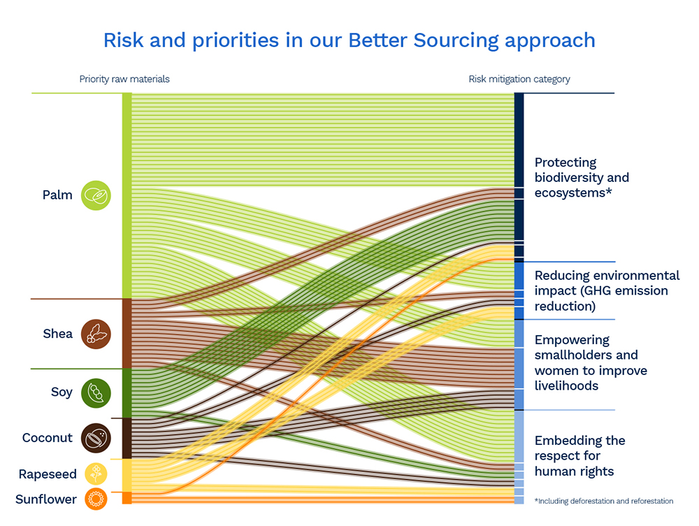 Our better sustainable sourcing approach | AAK