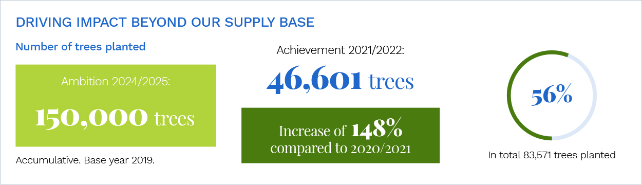 All about better sourcing of shea in the traditional supply chain | AAK